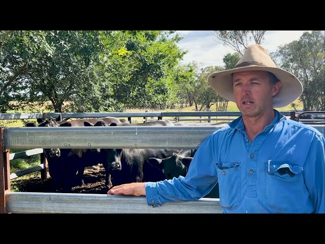 Transport case study - Jim Larkin